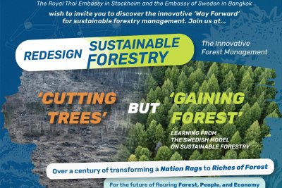 งาน Redesign Sustainable Forestry :The Innovative Forest Management ...